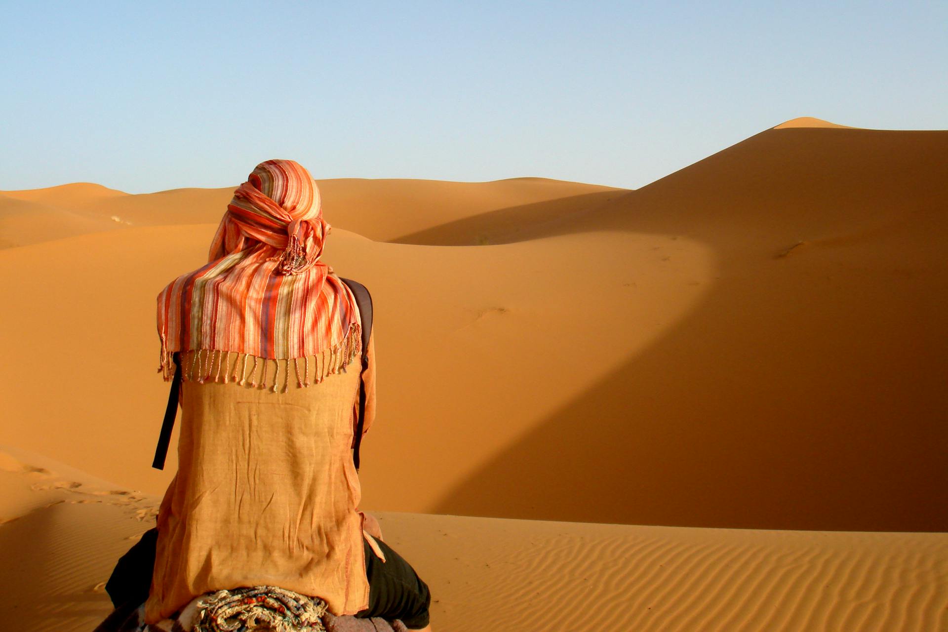 Camel Ride Swakopmund | Namib Desert Camel Safari Tour